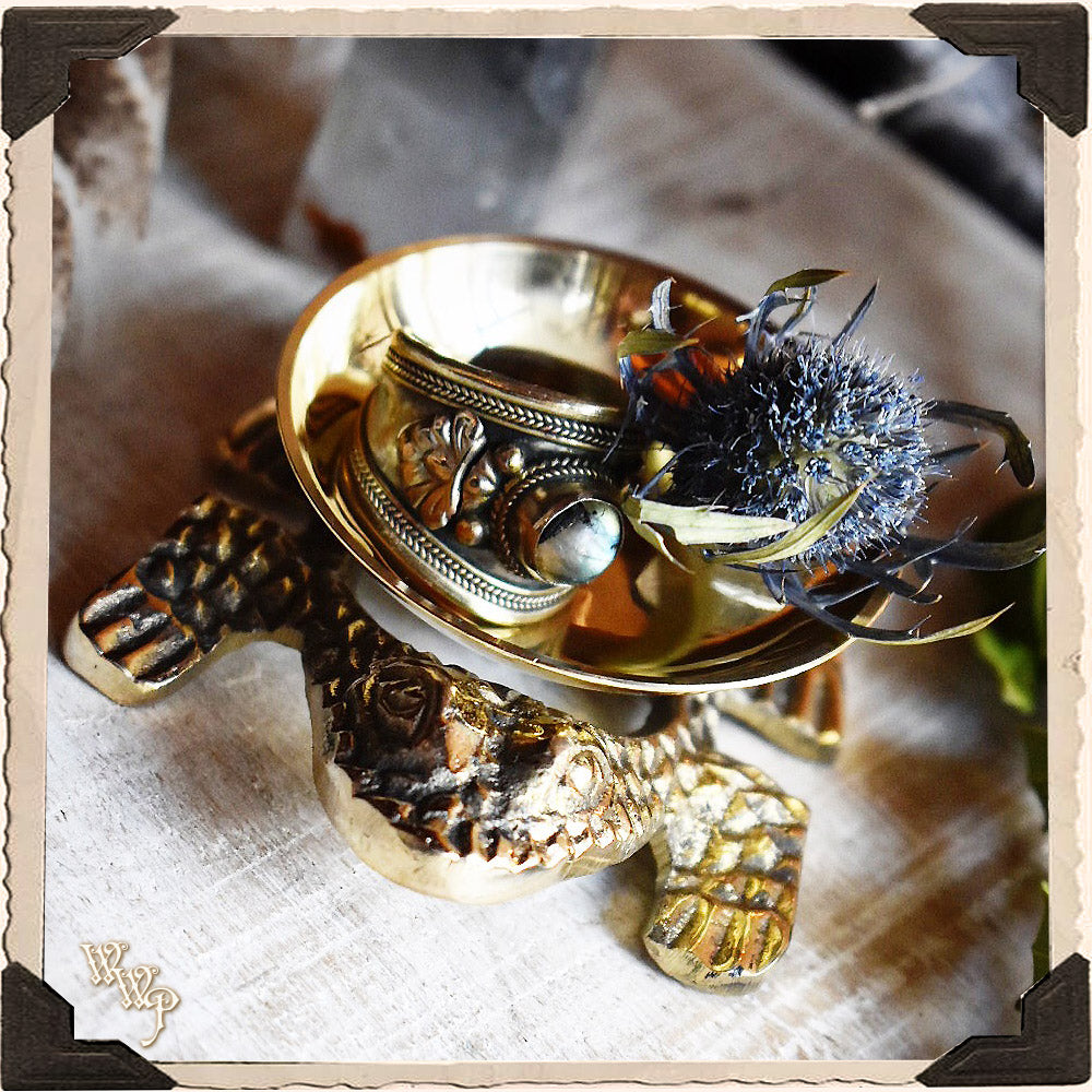 BRASS FROG. Altar Decor For Luck, Fertility, Transformation & Purity ...