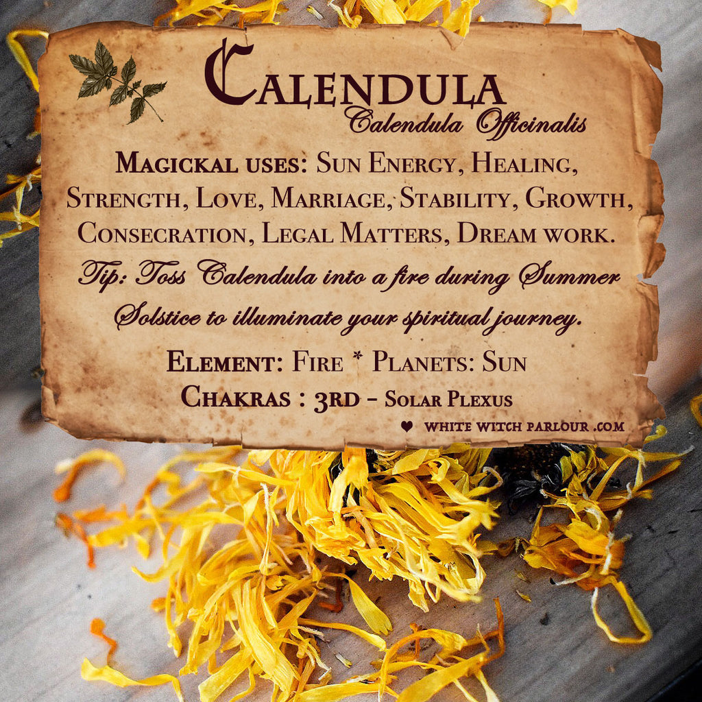 CALENDULA APOTHECARY. Calendula Officinalis Dried Herbs. For Sun Energ ...