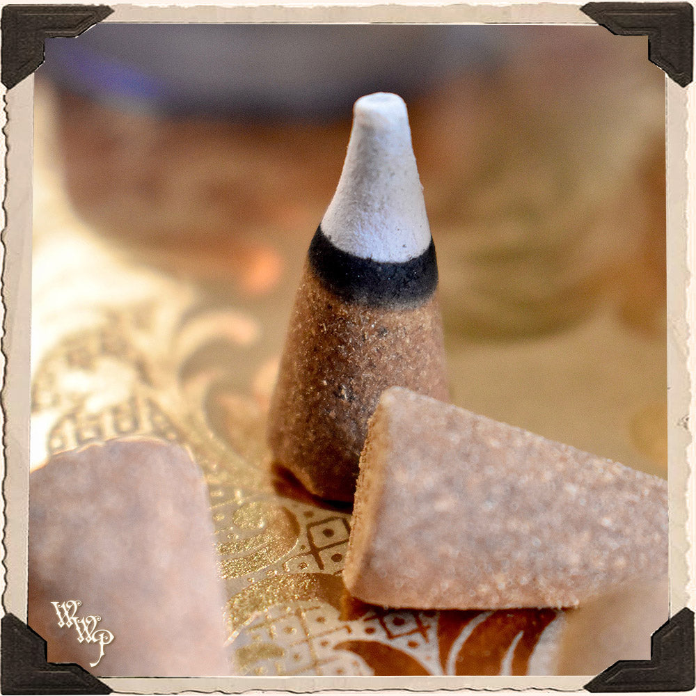 BUTTERFLY CONE INCENSE. Animal Totem for Transition, Gentleness & Spir ...