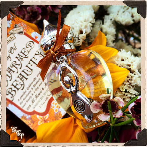 Charmed Potions Recipes