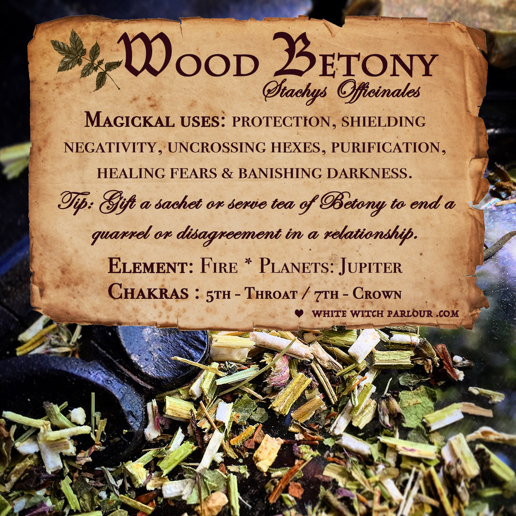 WOOD BETONY Dried Herbs. For Protection, Ghosts , Blocking Negative ...